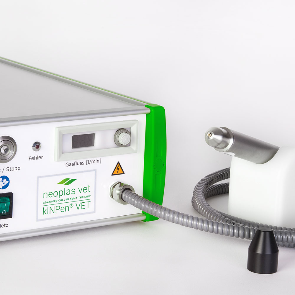 neoplas vet: cold plasma technology for veterinary medicine